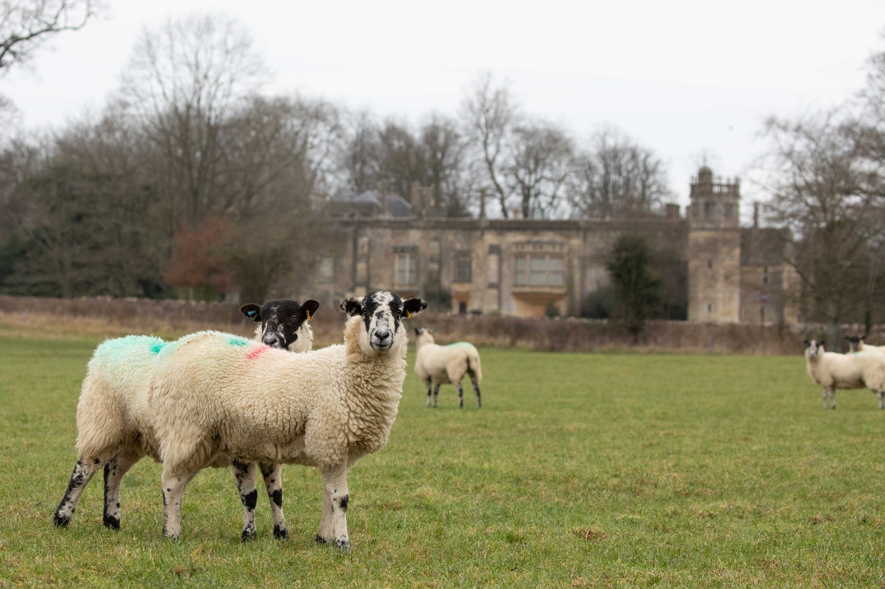 Home - Lacock Photography